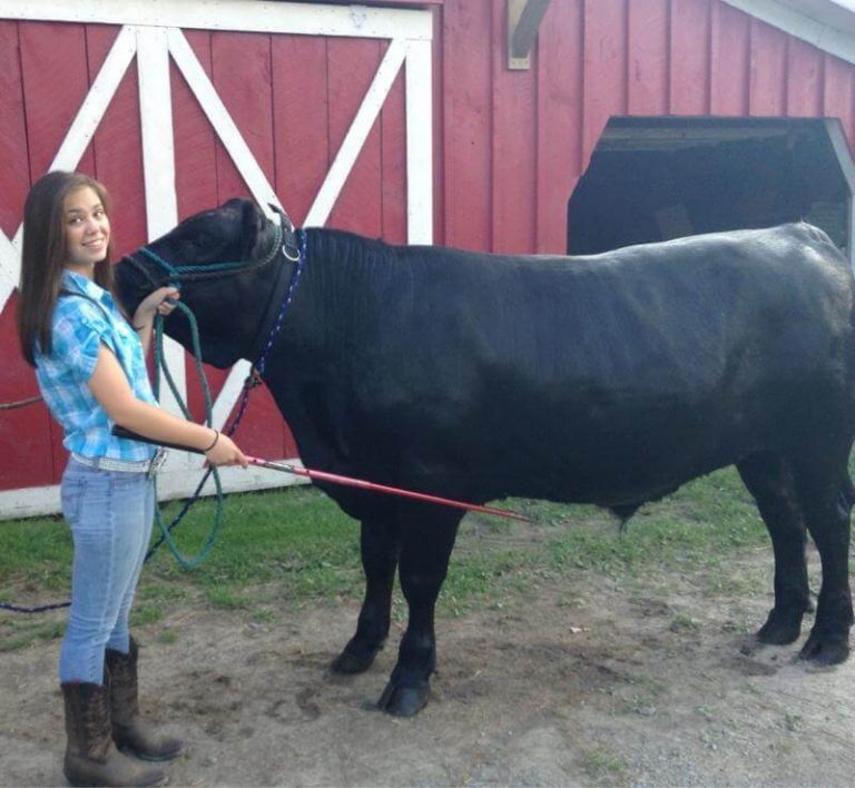 Share Your Country User Submitted Photos | Show Me Country