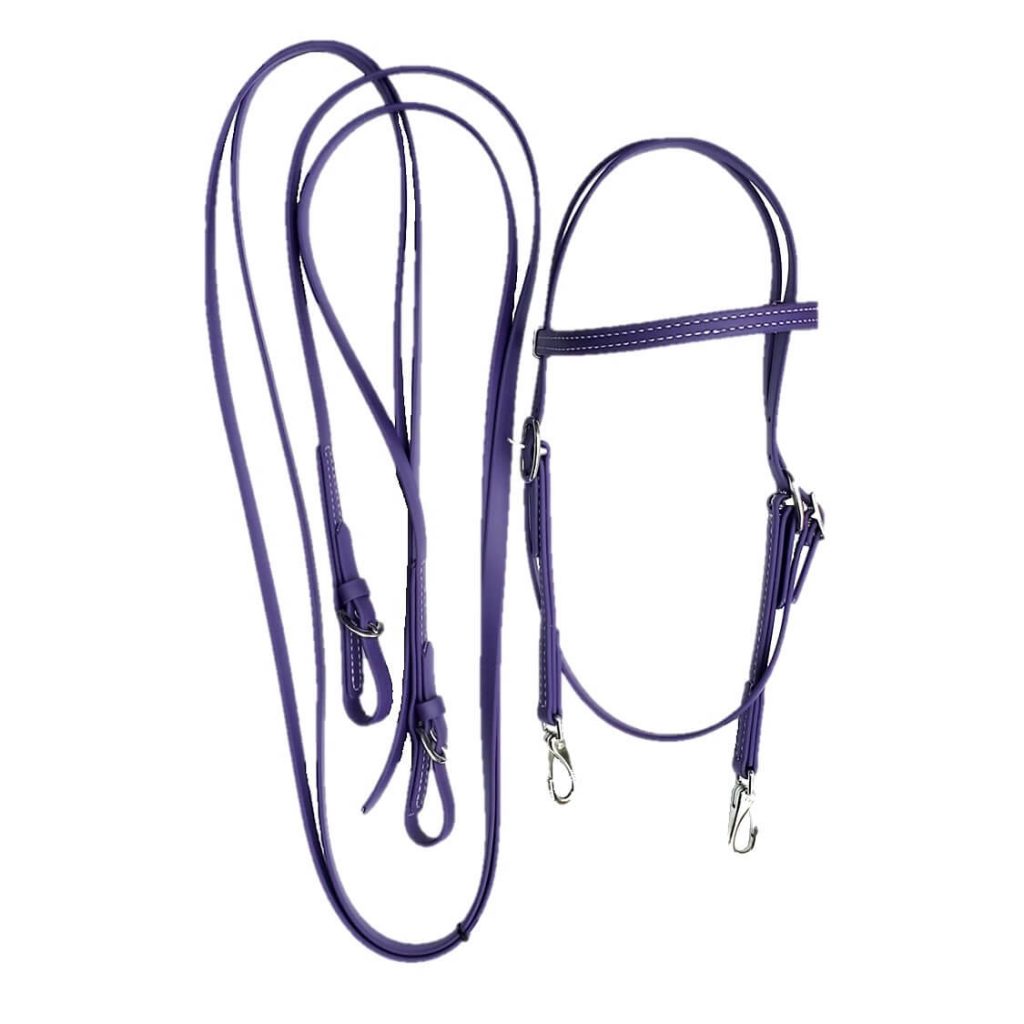 Purple Beta Biothane Browband Bridle and 8' Split Reins ⋆ Saddles N ...