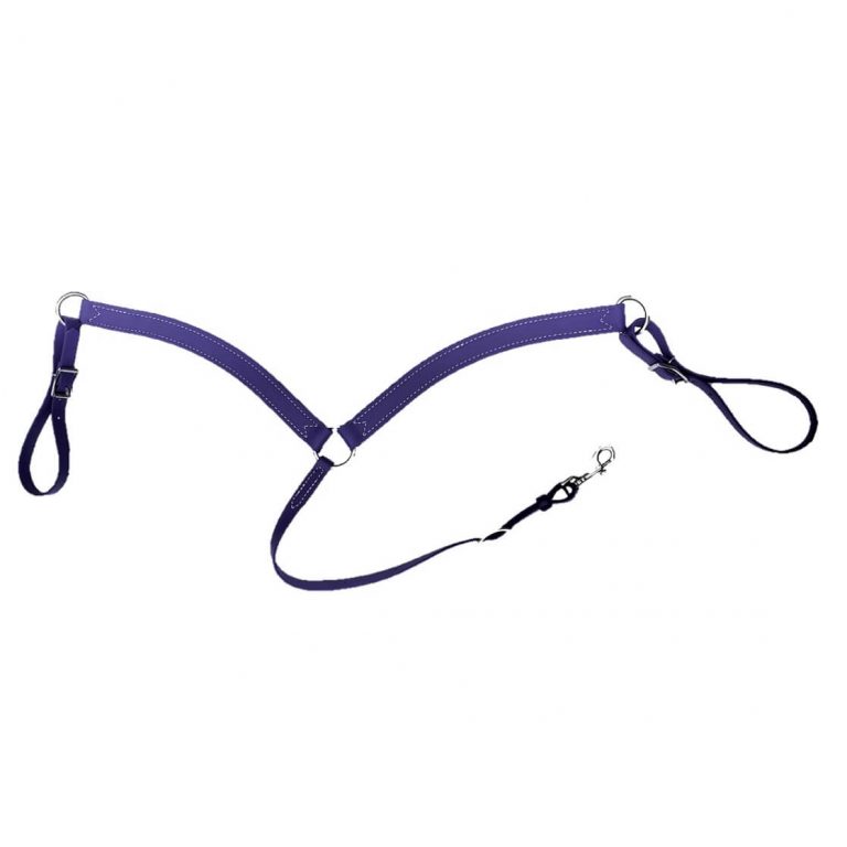 Purple Beta Biothane Contoured Breast Collar ⋆ Saddles N Such | SMC
