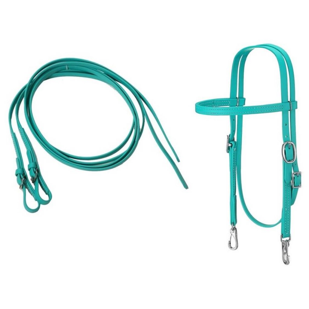 Teal Beta Biothane Browband Bridle and 8' Split Reins ⋆ Saddles N Such ...
