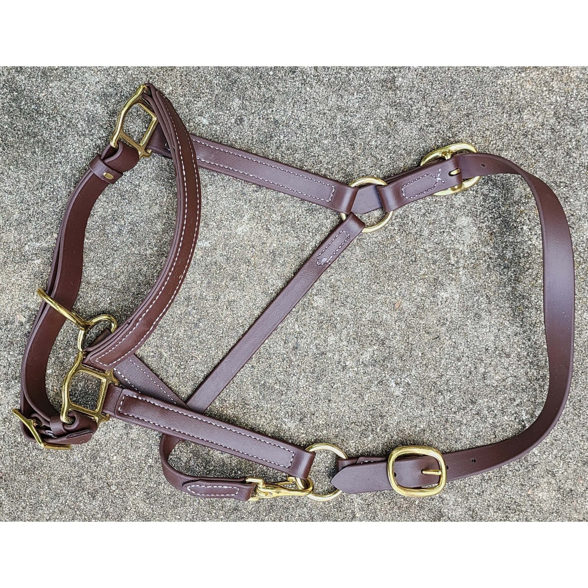 1" wide Beta Biothane Horse Halter with Brass Hardware ⋆ Saddles N Such ...